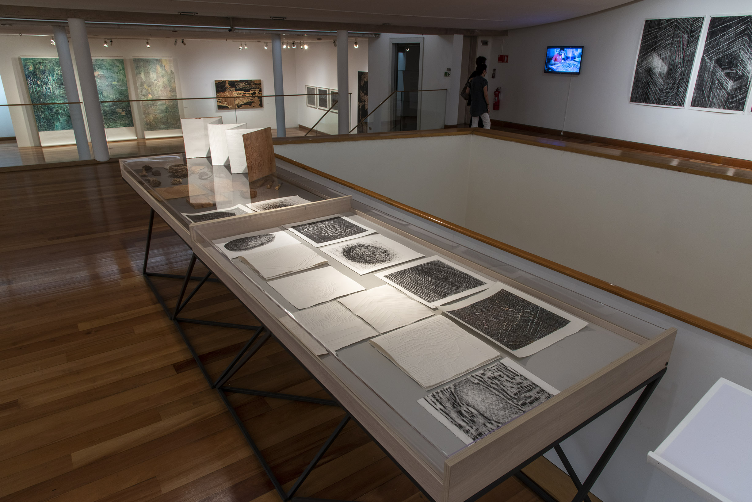 Dos mujeres artistas ocupan la totalidad del Museo de Artes Visuales ...