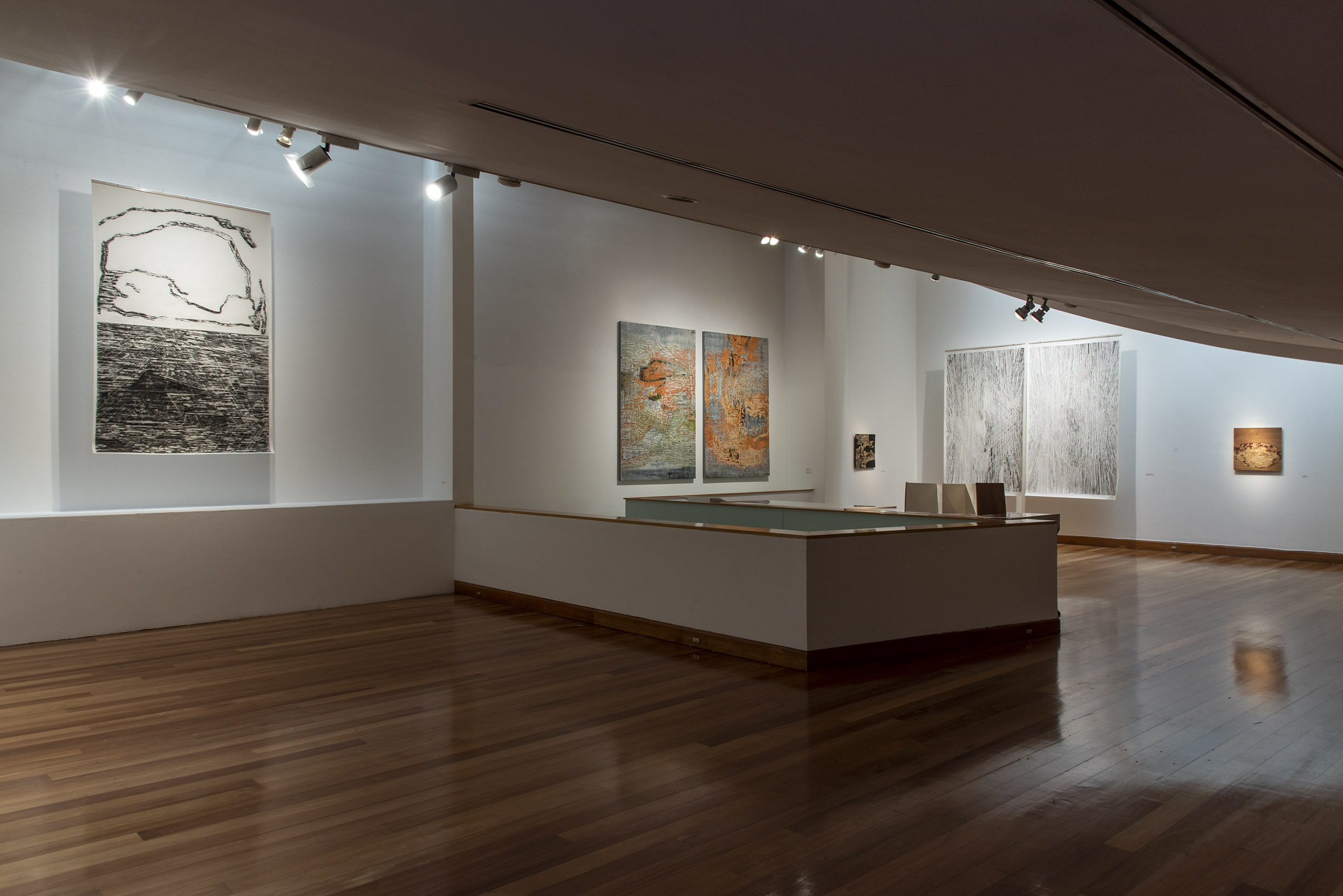 Dos mujeres artistas ocupan la totalidad del Museo de Artes Visuales ...