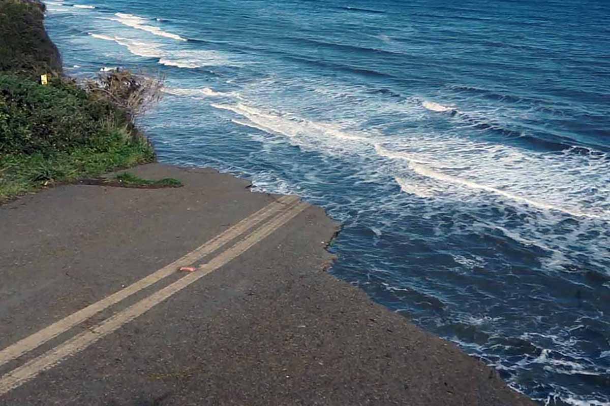 REMOTO – A pesar de todo de Francesco Di Tillo en Galería Metropolitana ...