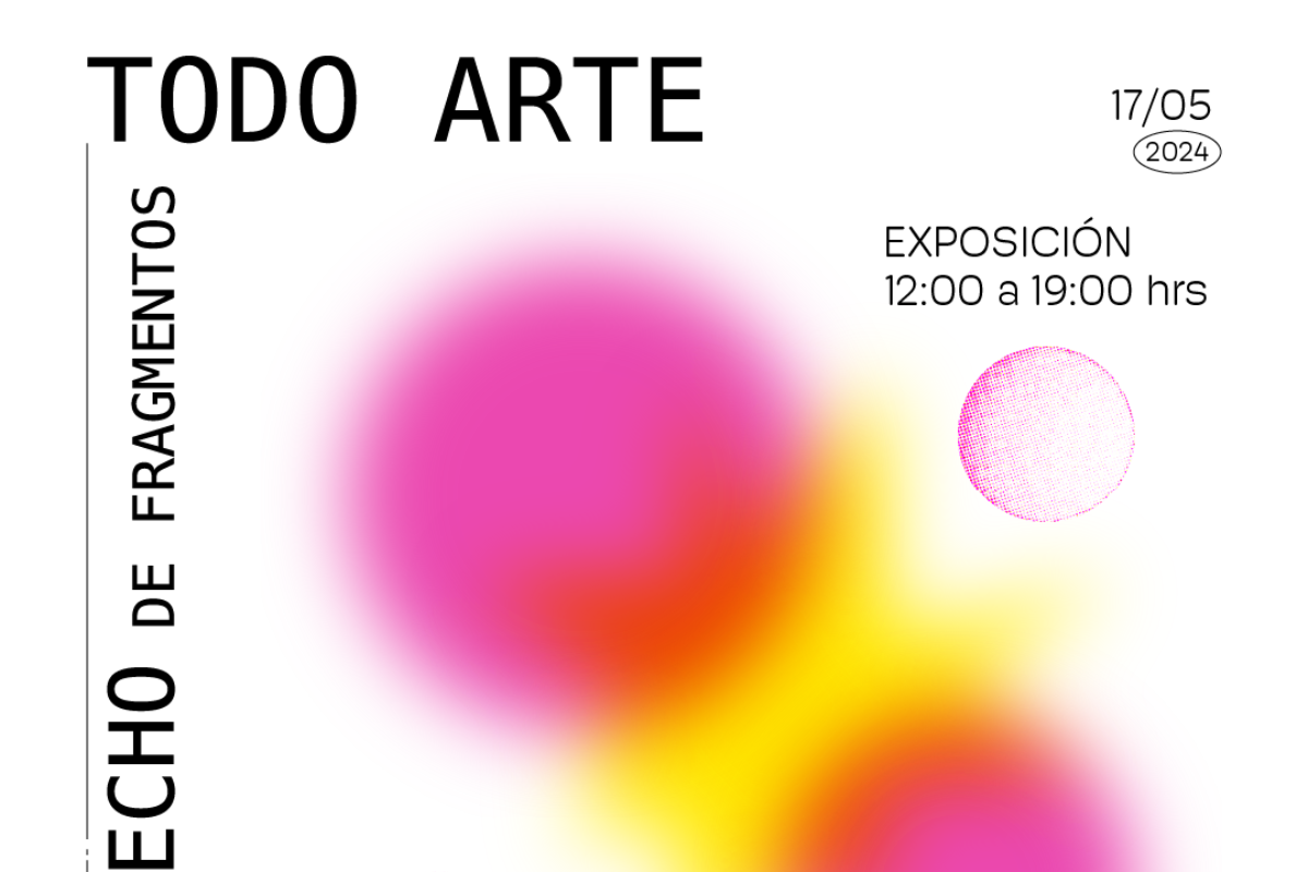 Lira Arte Público presenta nuevo mural en Barrio Matta de la mano de ...