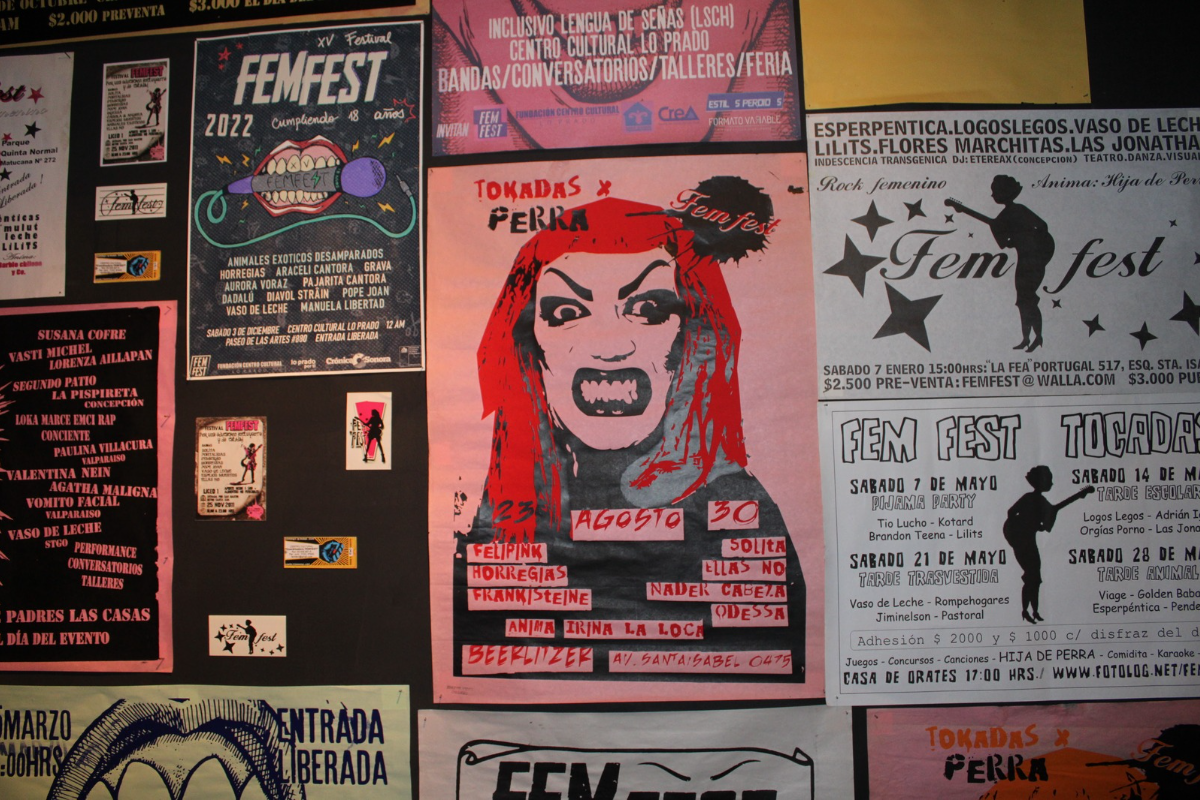 El «Festival Femfest Mujeres y Disidencias» comienza a celebrar sus 20 ...